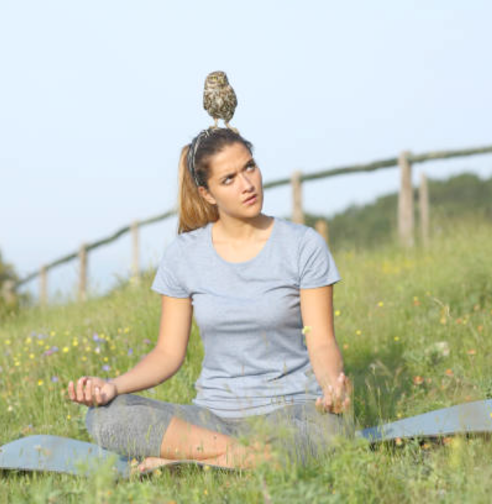 Yoga of Alignment | Rebbie's YOFA Blog and Podcast